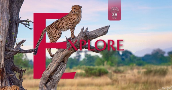 Explore August Month-End Draws | Boardwalk