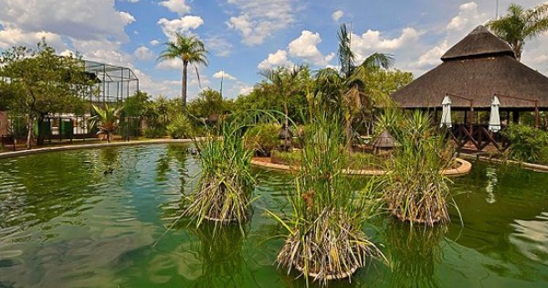 5 Things to Do in Polokwane | Sun International